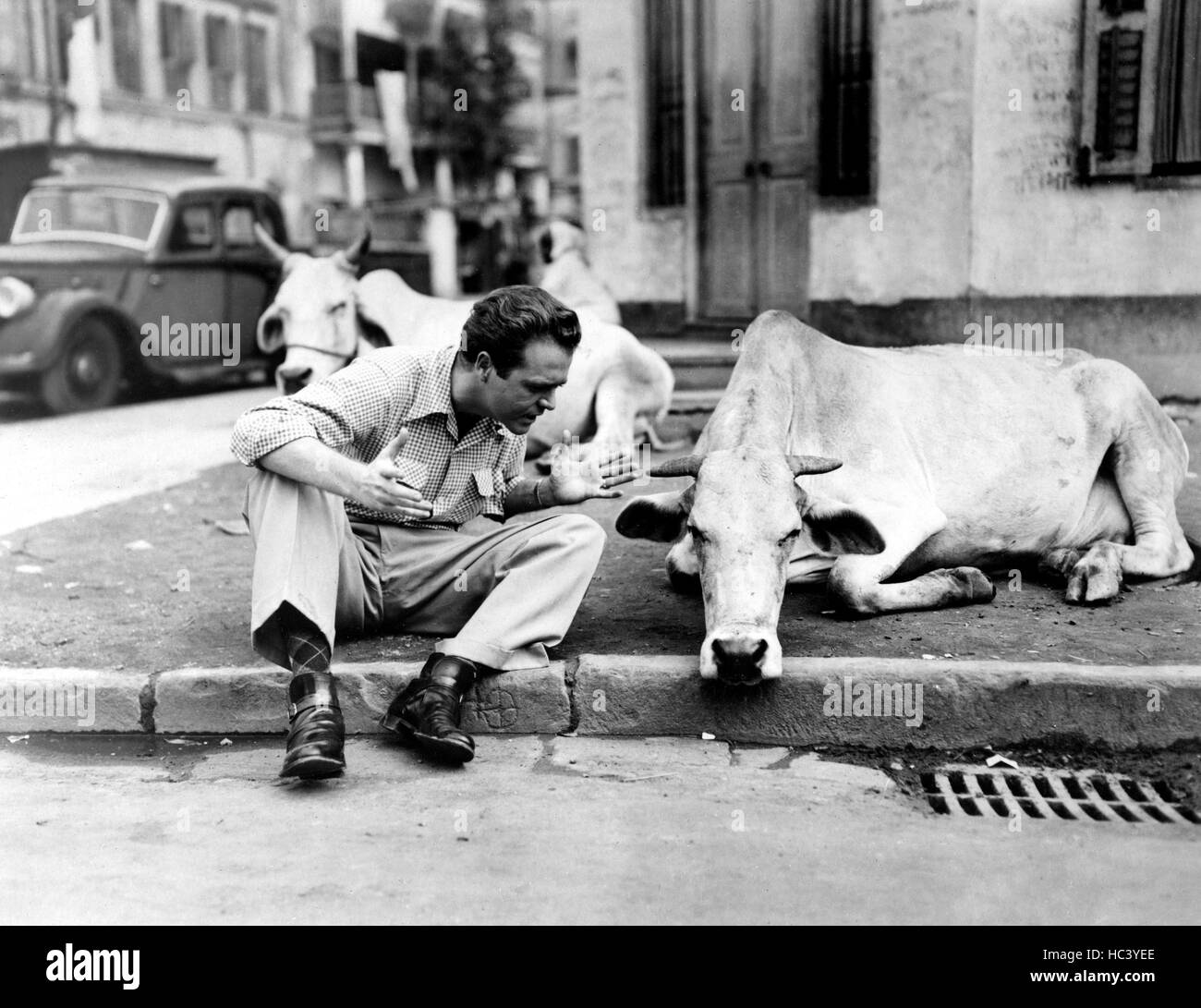 THE RIVER, Thomas Breen, (candid), 1951 Stock Photo - Alamy