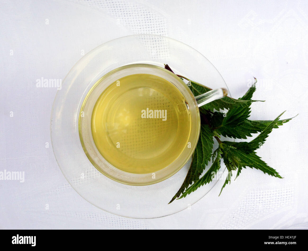 Berlin, Germany. 12th June, 2015. Nettle tea, photographed in Berlin ...