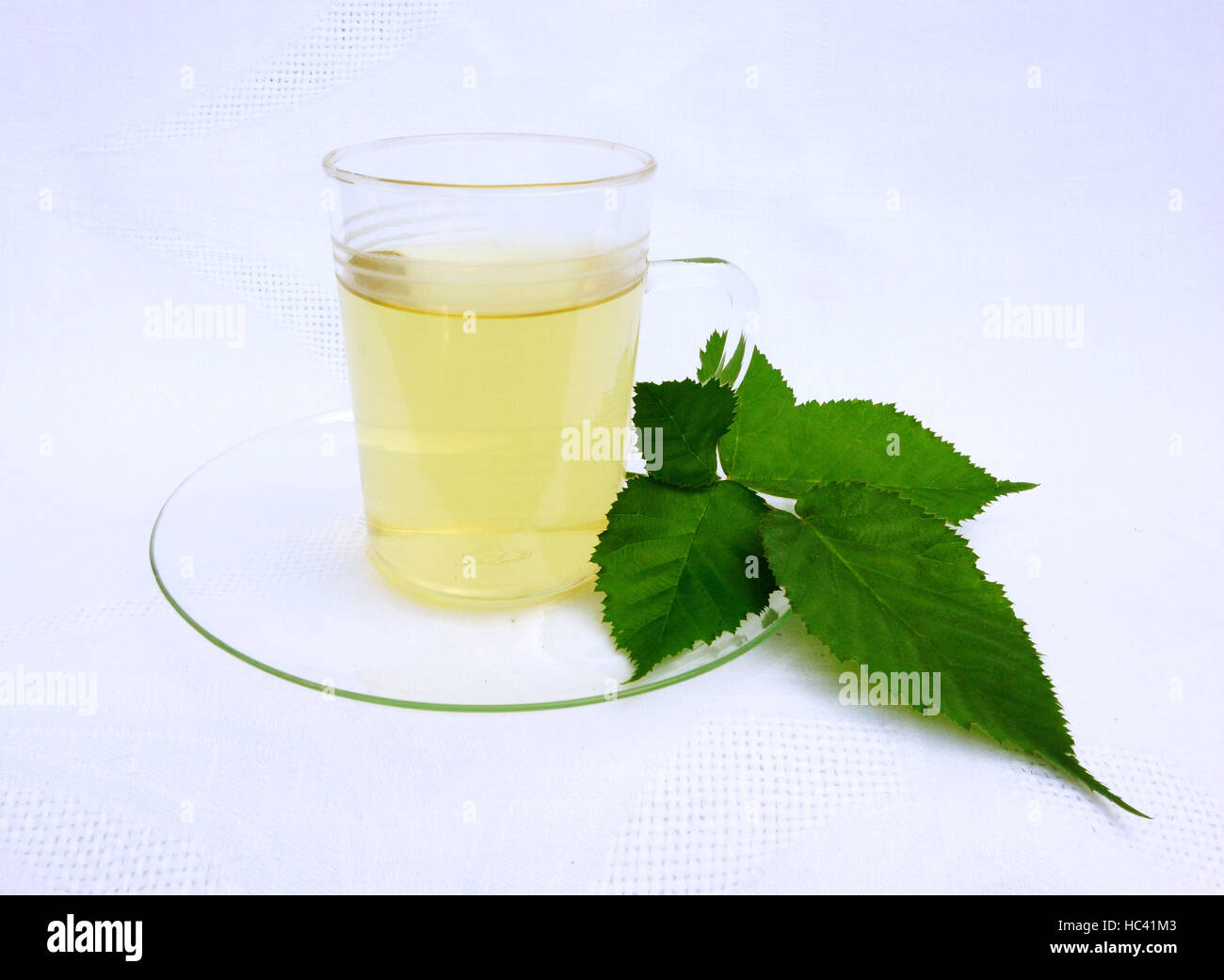 Berlin, Germany. 12th June, 2015. Blackberry leaf tea, photographed in ...