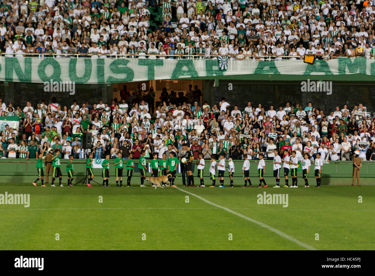 Curitiba, Brazil. 07th Dec, 2016. Group of children the field, divided ...