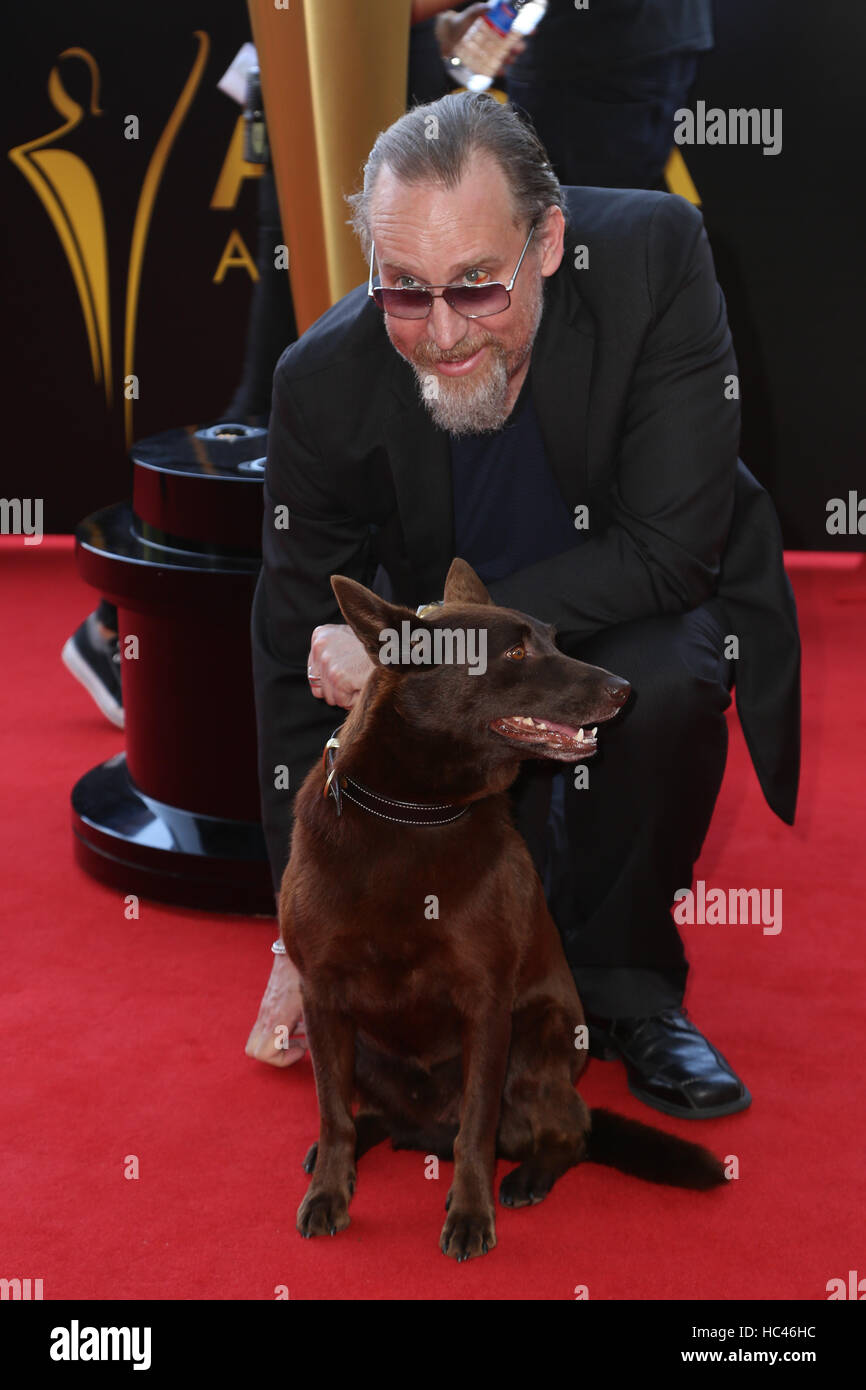 Red dog true blue movie hi-res stock photography and images - Alamy