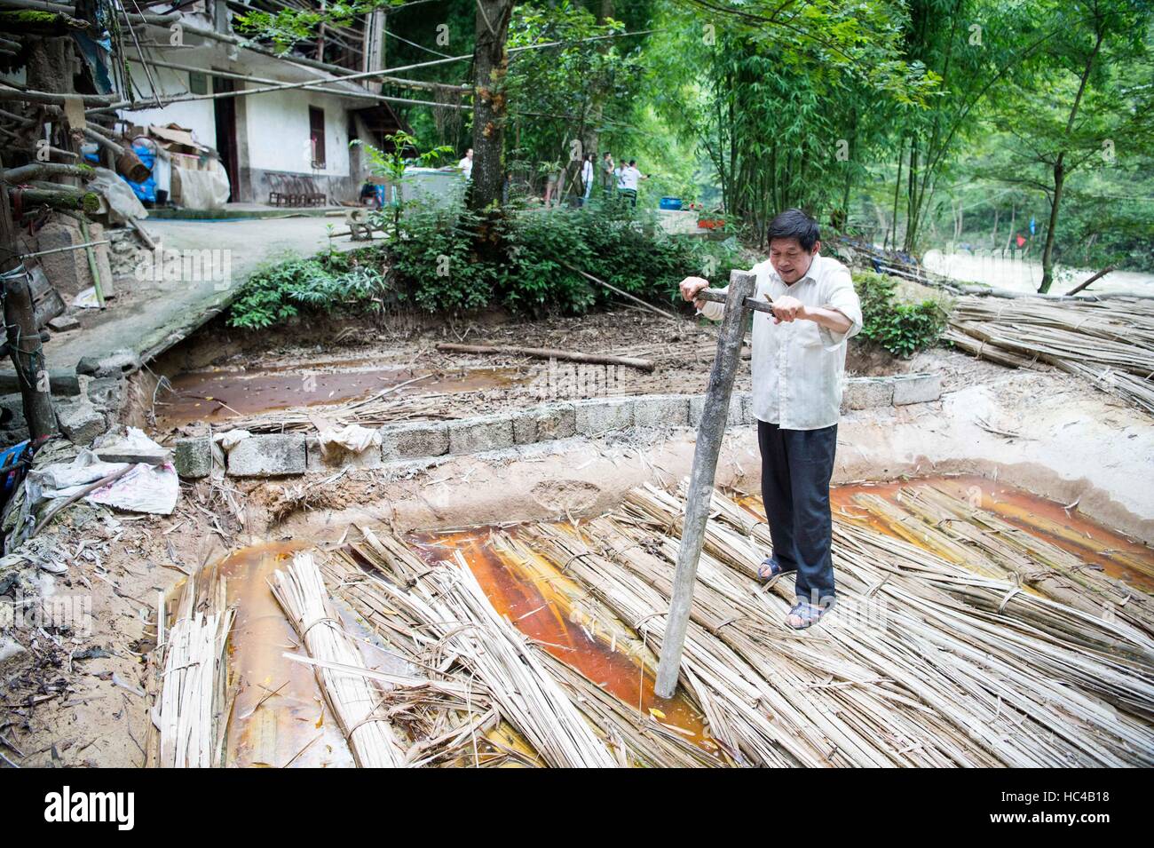 (161208) -- CHONGQING, Dec. 8, 2016 (Xinhua) --Li Shilin dips bamboo in ...
