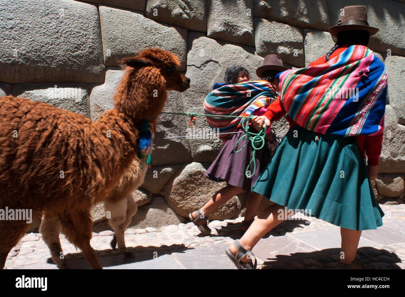 A woman and her llamas beside the stone of 12 angles. This stone is ...