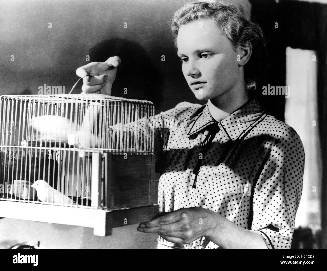 ORDET, (aka THE WORD), Brigitte Federspiel, 1955 Stock Photo - Alamy