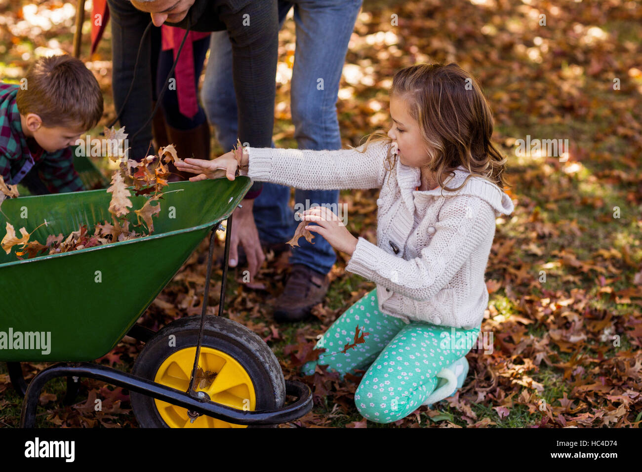Children picking up autumn leaves with parents Stock Photo - Alamy