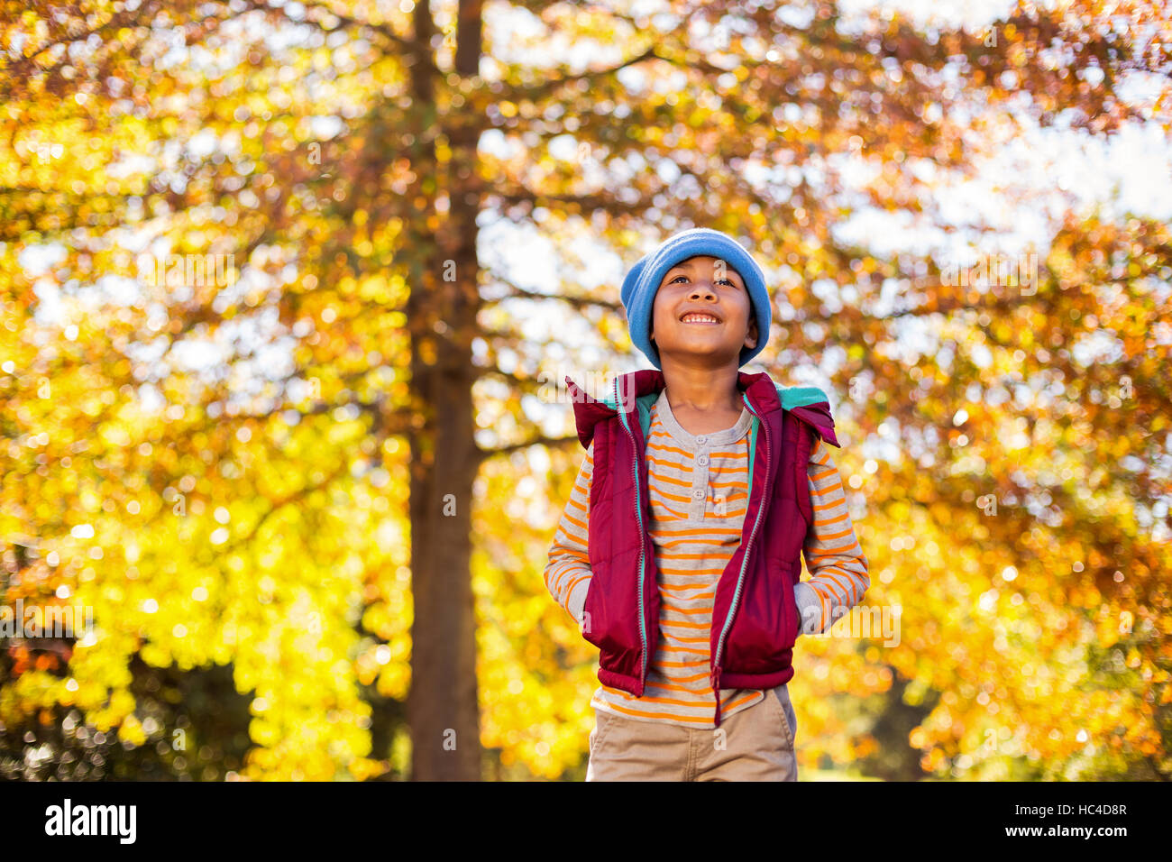 Free standing trees hi-res stock photography and images - Alamy