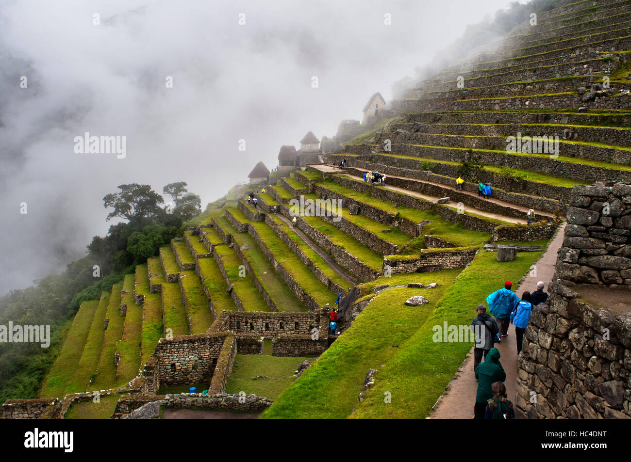 Terraces inside the archaeological complex of Machu Picchu. Machu ...