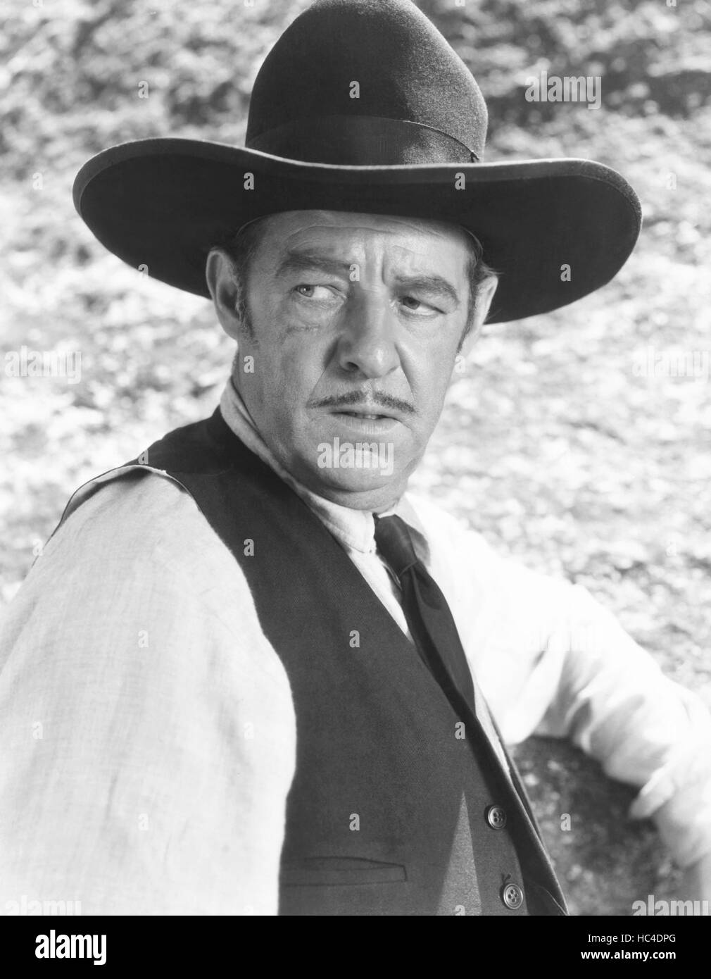 PARTNERS OF THE PLAINS, Al Bridge, 1938 Stock Photo - Alamy