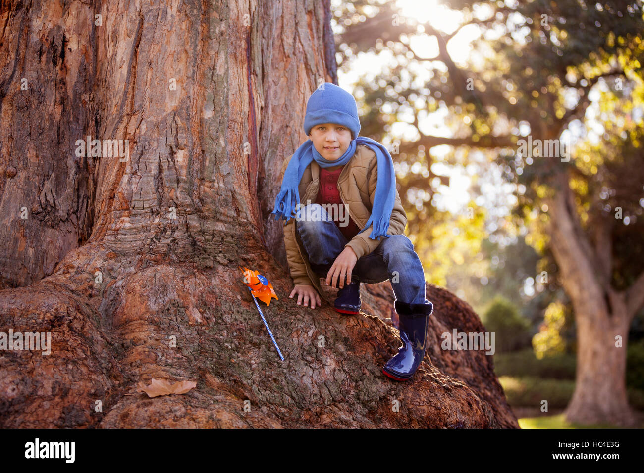 Portrait of boy with pinwheel while crouching on tree trunk Stock Photo ...