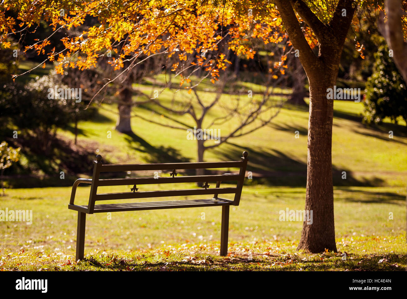 Empty park bench hi-res stock photography and images - Alamy