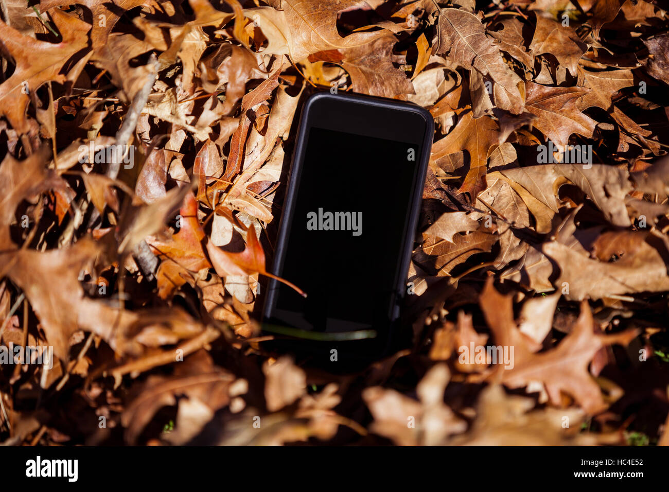 Mobile phone amidst autumn leaves Stock Photo - Alamy