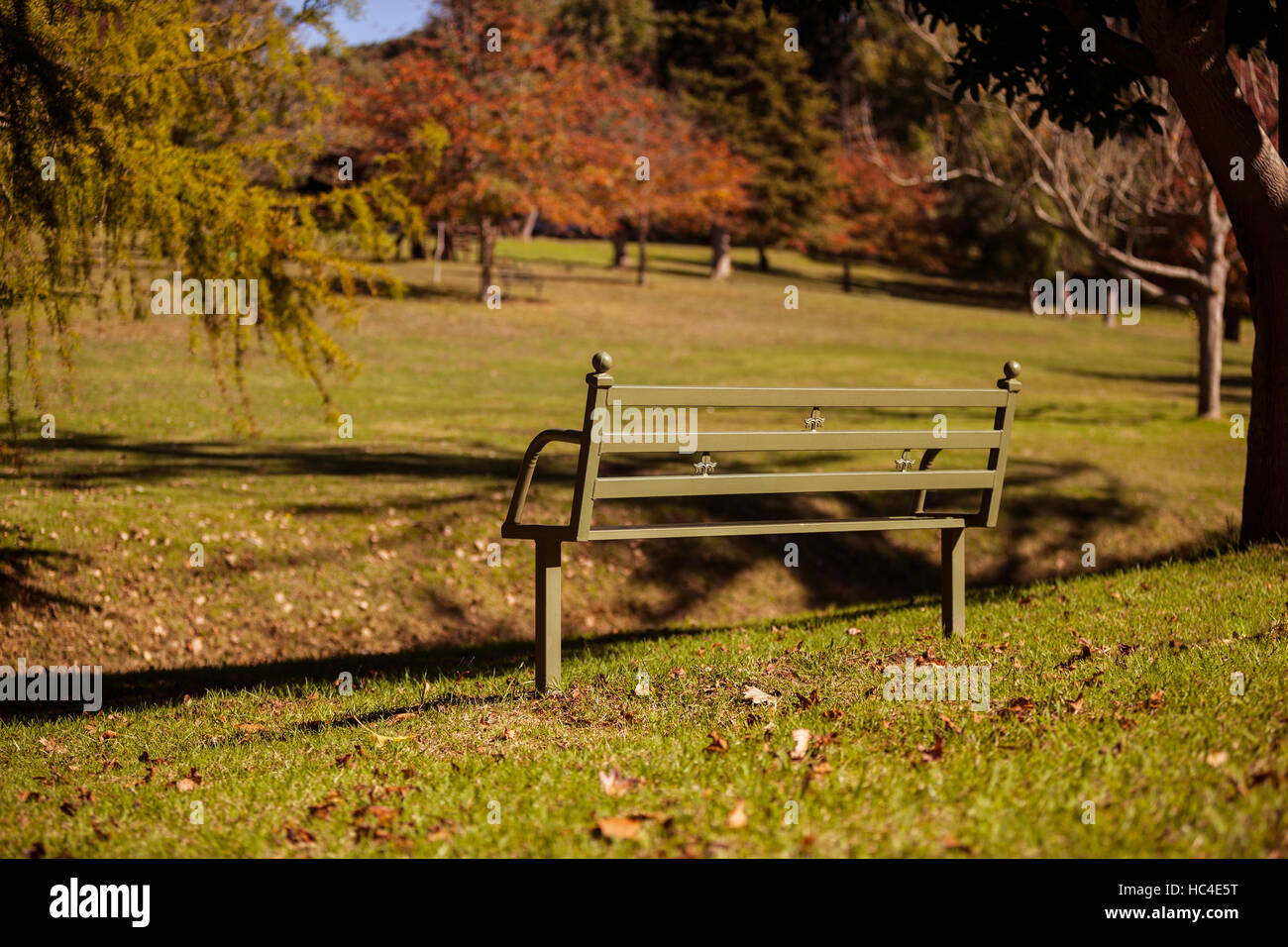 Empty park bench on field Stock Photo - Alamy