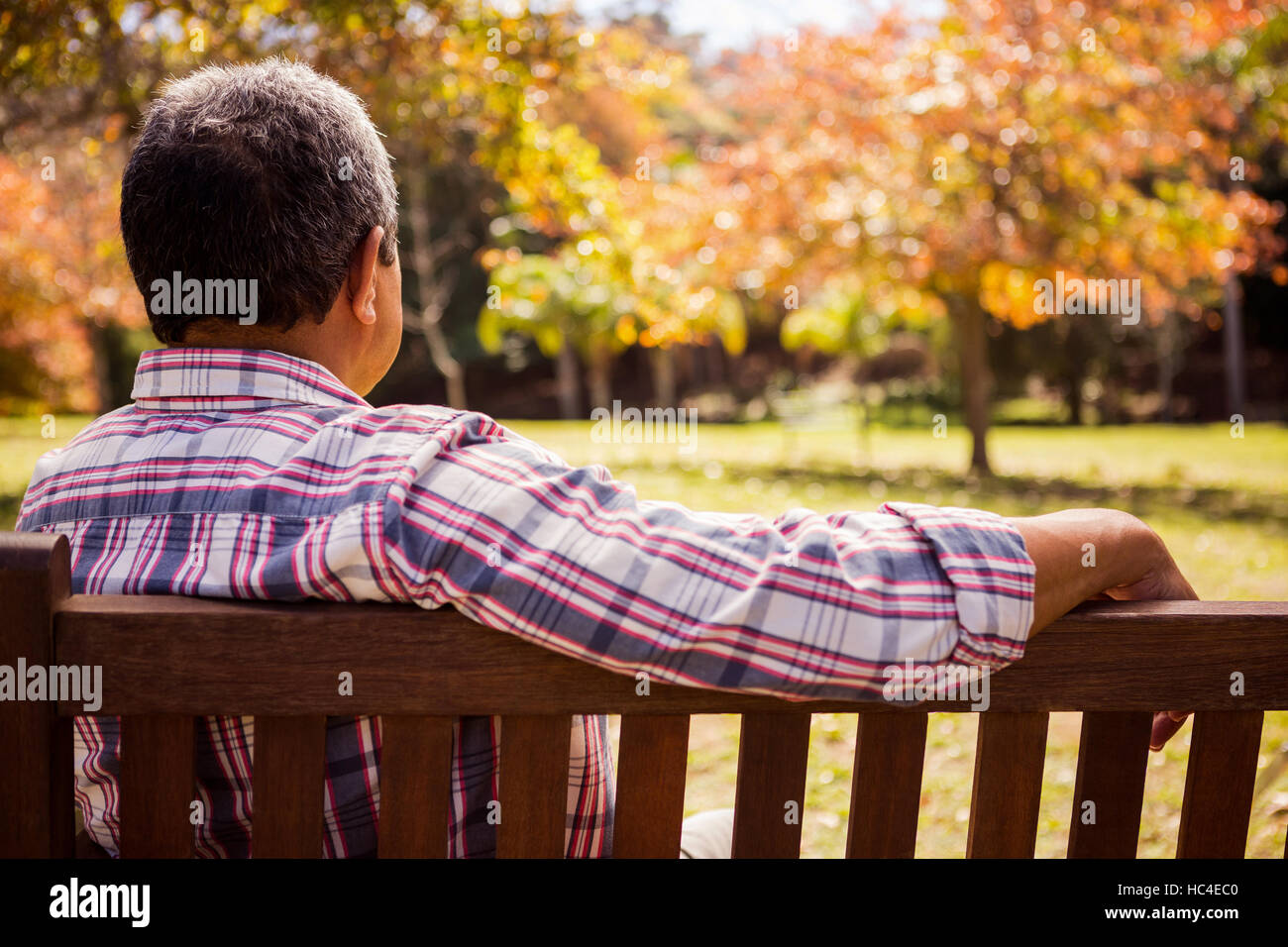 Thoughtful elderly man sitting alone on a bench Stock Photo - Alamy