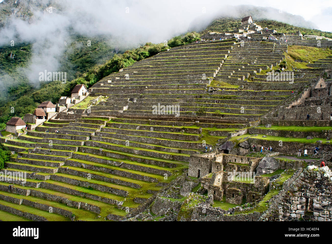 Terraces inside the archaeological complex of Machu Picchu. Machu ...