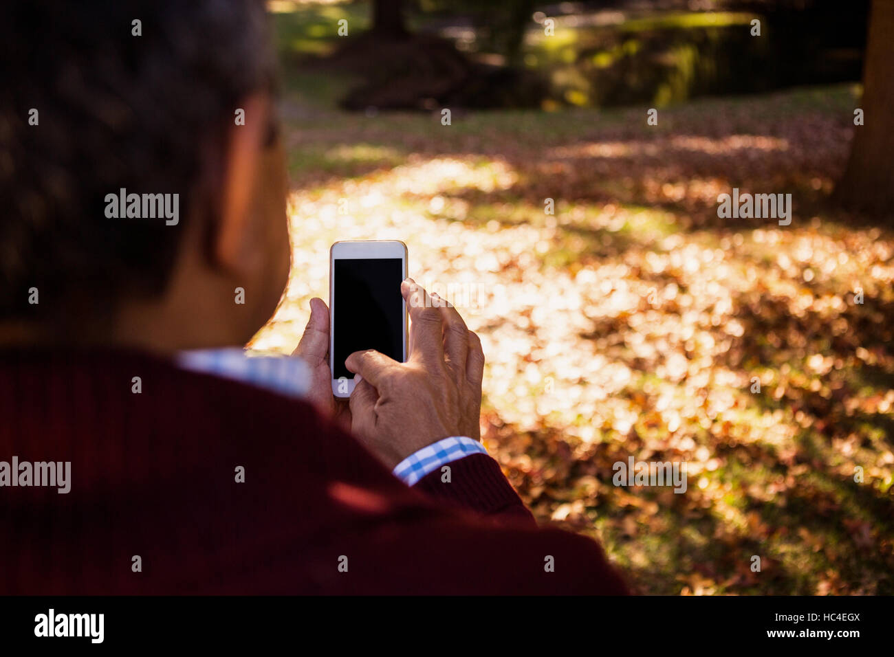 Man using cellphone in park Stock Photo - Alamy