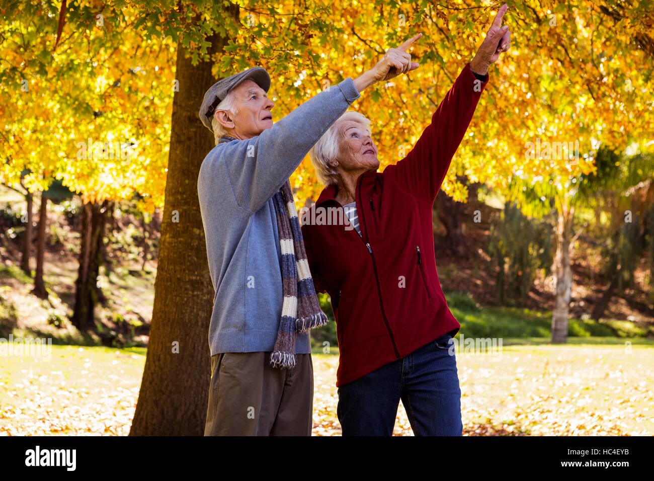 Senior couple pointing something Stock Photo - Alamy