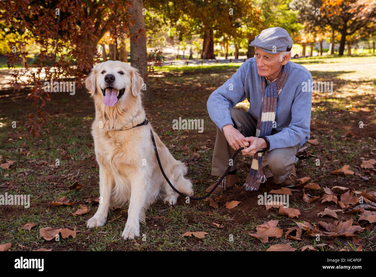 Elderly man with pet dog hi-res stock photography and images - Alamy