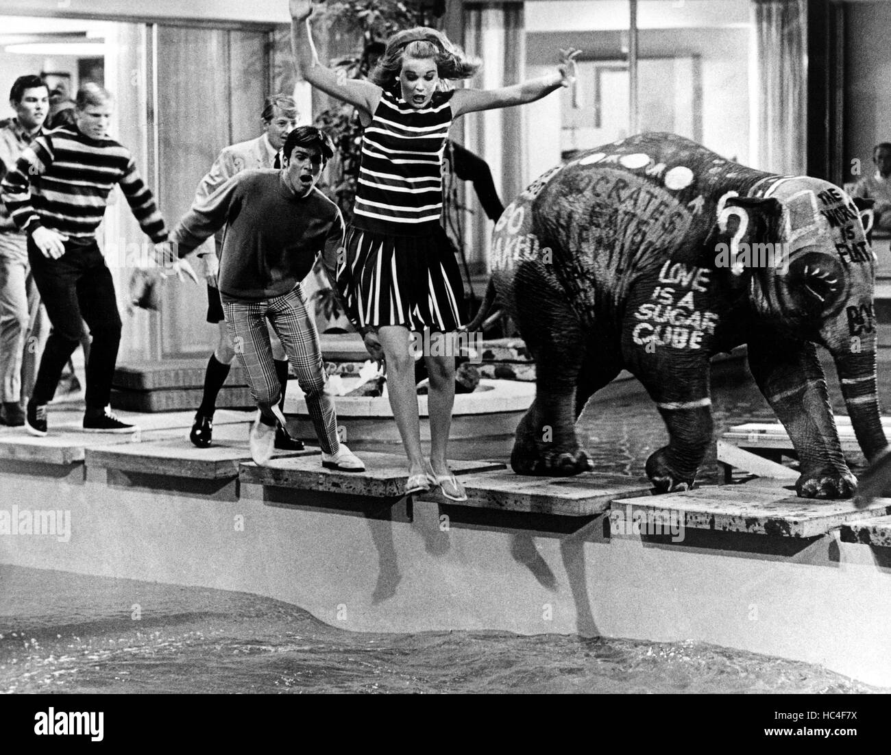 THE PARTY, 1968 Stock Photo - Alamy