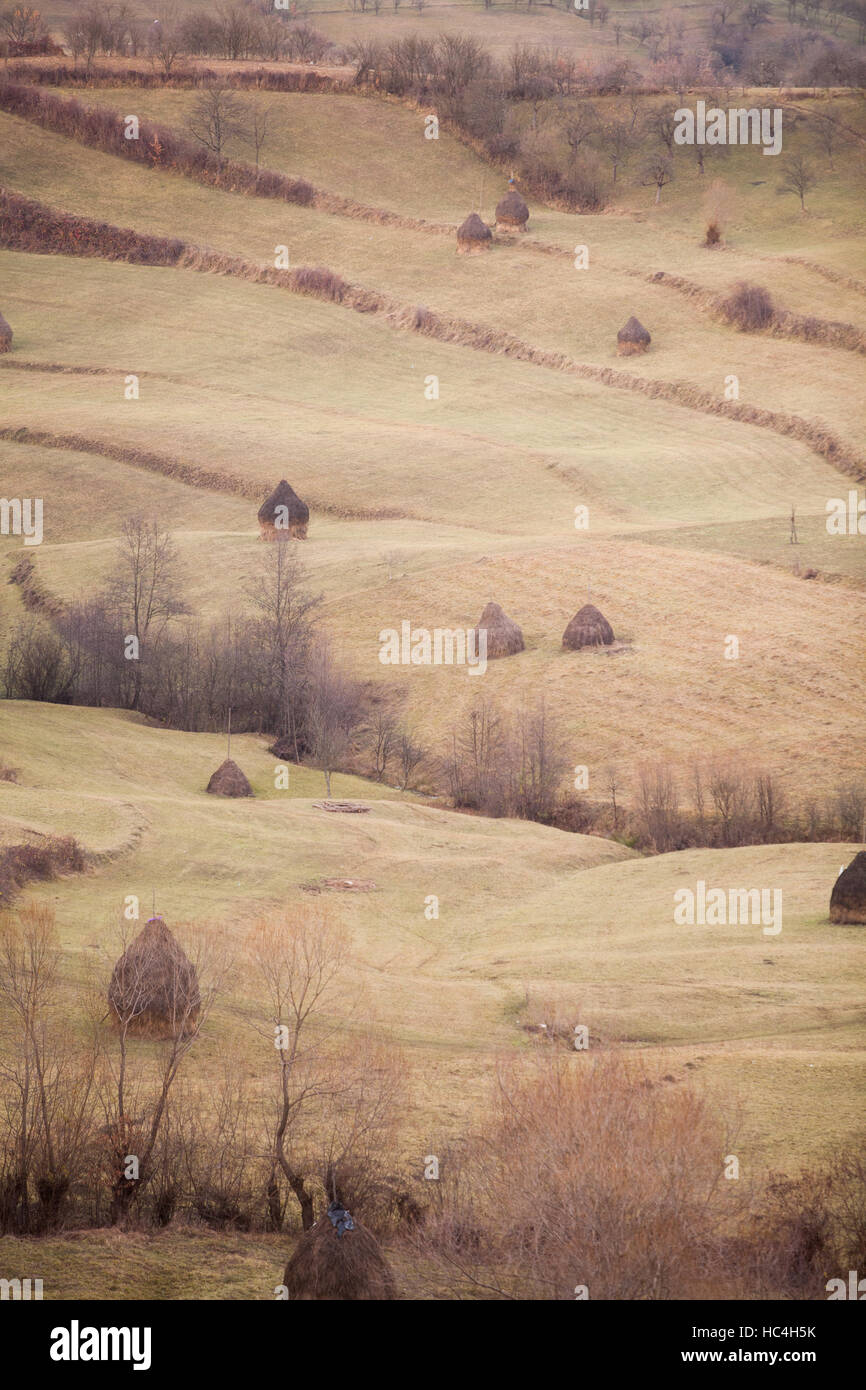 Traditional Haystack High Resolution Stock Photography and Images - Alamy