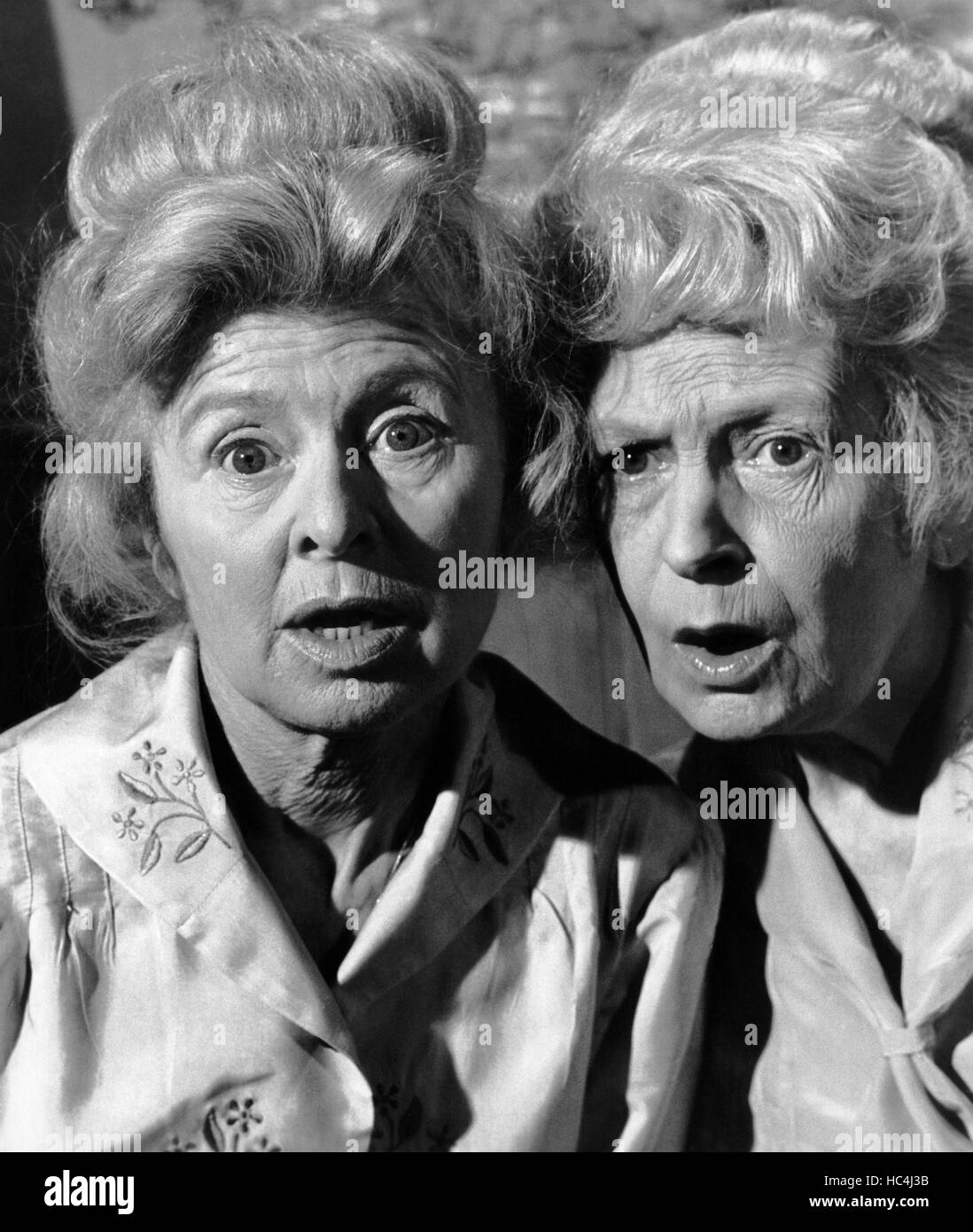 Gloag hi-res stock photography and images - Alamy