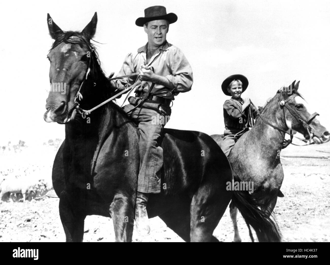 THE PROUD REBEL, Alan Ladd, David Ladd, 1958 Stock Photo - Alamy