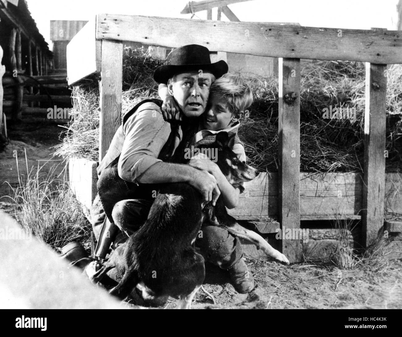 THE PROUD REBEL, Alan Ladd, David Ladd, 1958 Stock Photo - Alamy