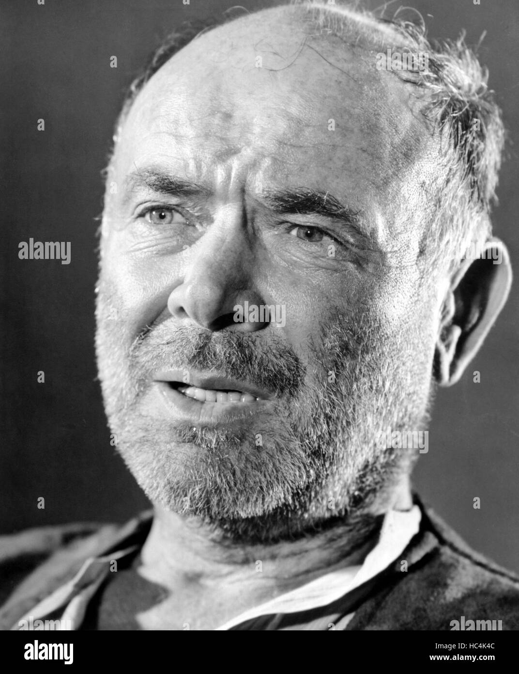 THE PROUD REBEL, Dean Jagger, 1958 Stock Photo - Alamy