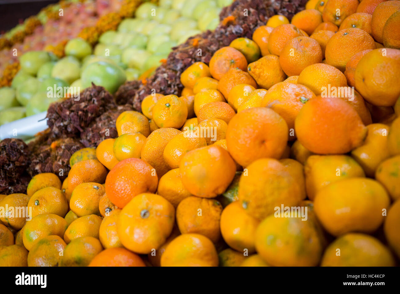 Oranges in tray on display shelf Stock Photo - Alamy