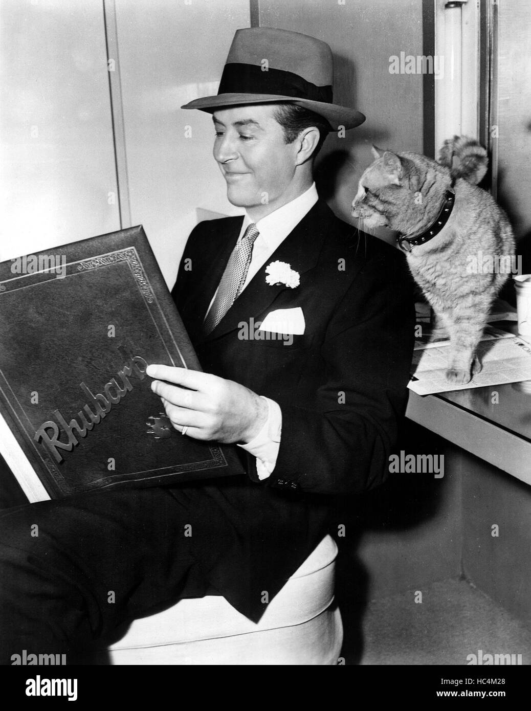 RHUBARB, Ray Milland, Rhubarb the Cat, 1951 Stock Photo - Alamy