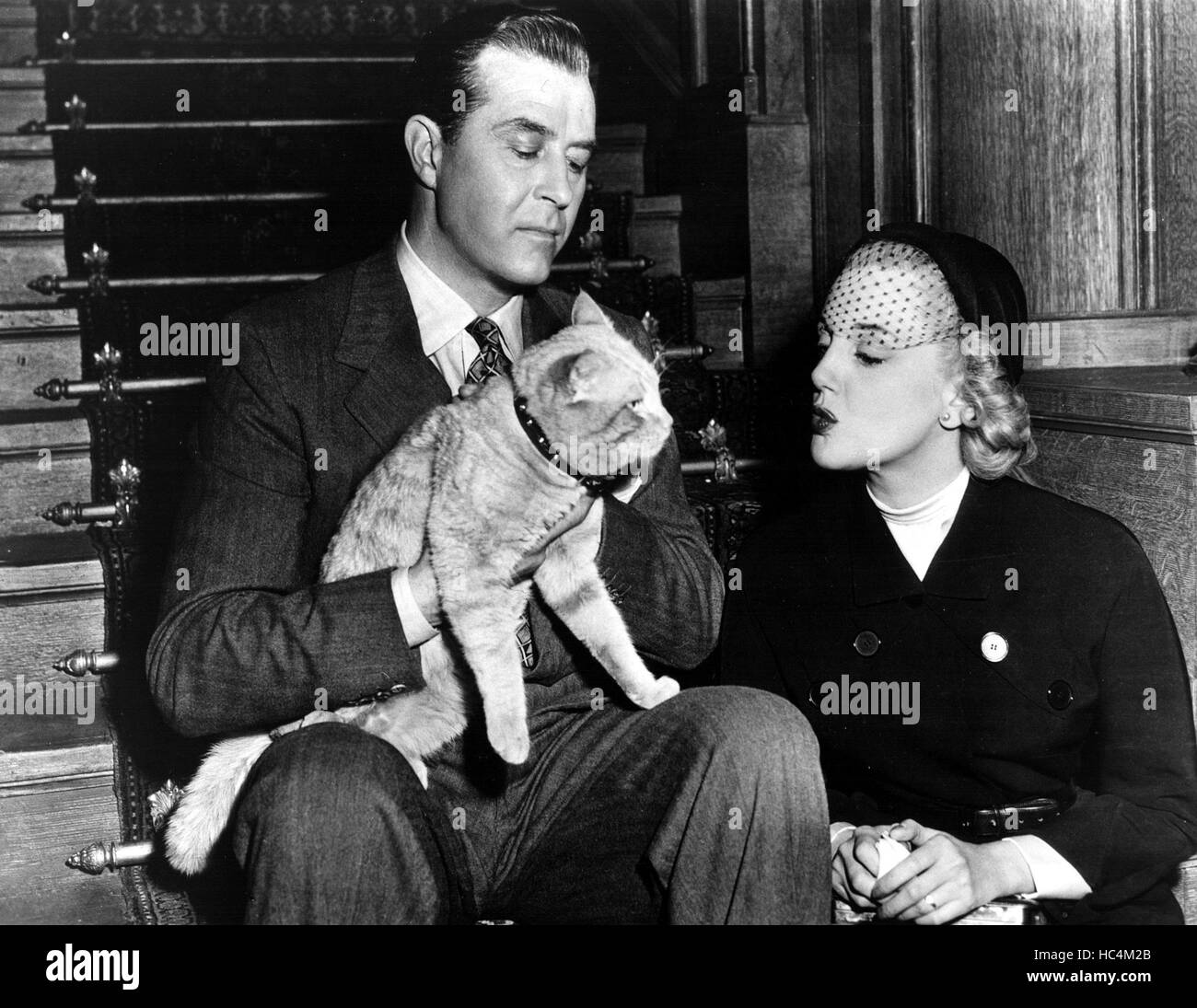 RHUBARB, Ray Milland, Rhubarb the cat, Jan Sterling, 1951 Stock Photo ...