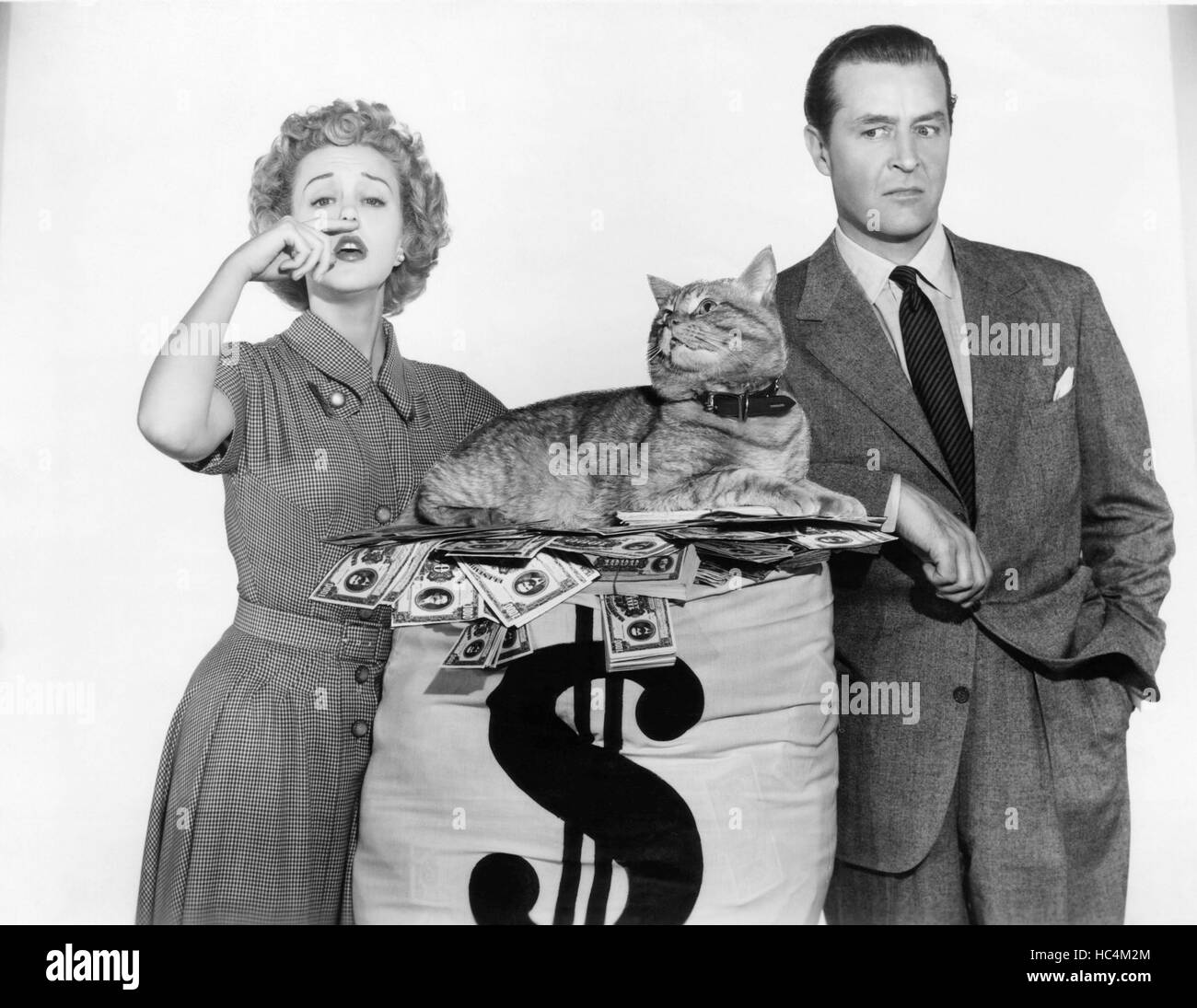 RHUBARB, Jan Sterling, Rhubarb the Cat, Ray Milland, 1951 Stock Photo ...
