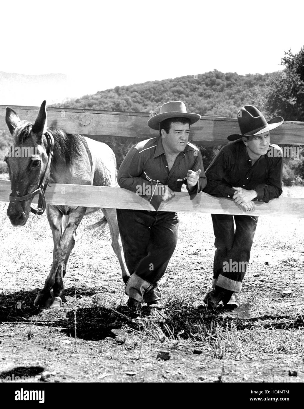 RIDE 'EM COWBOY, Oswald the trick donkey, Lou Costello, Bud Abbott ...