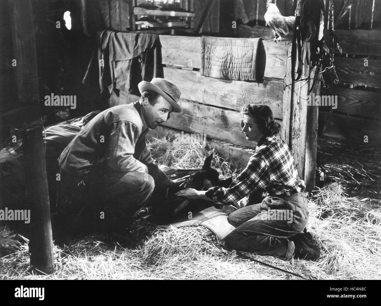 RIDING HIGH, from left: Bing Crosby, Coleen Gray, 1950 Stock Photo - Alamy