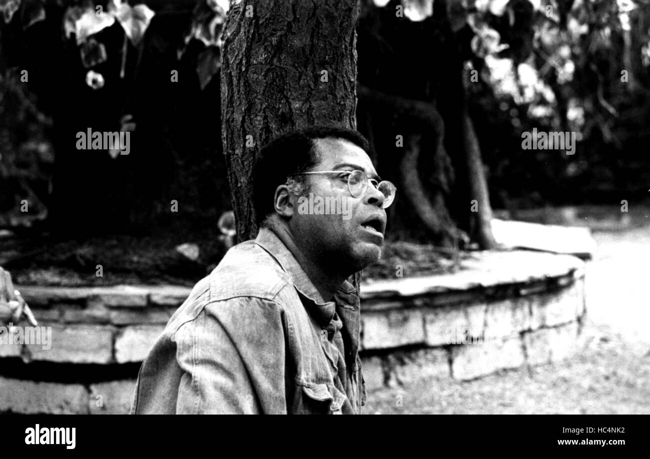 THE RIVER NIGER, James Earl Jones, 1976 Stock Photo - Alamy