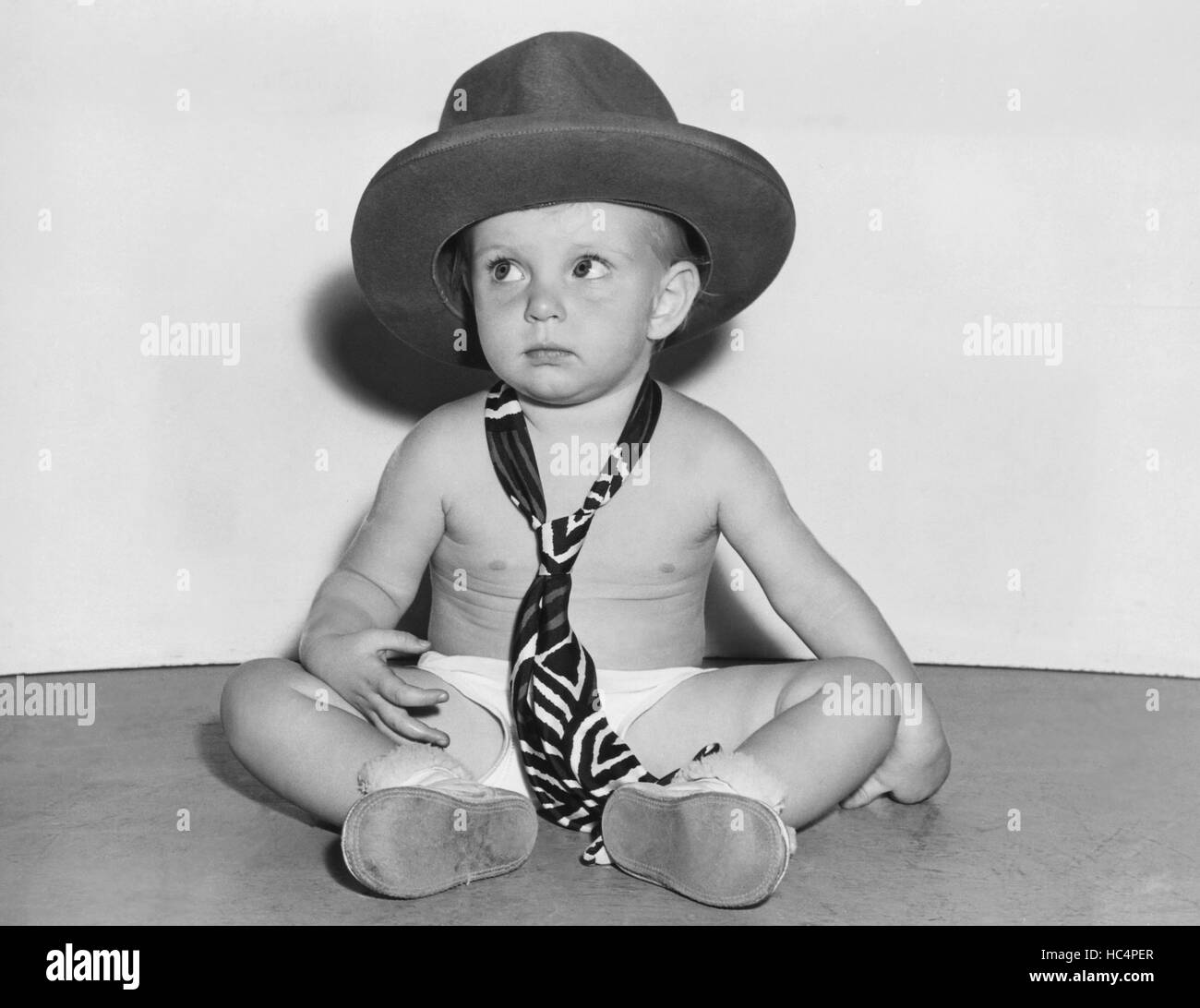 SANDY IS A LADY, Baby Sandy, 1940 Stock Photo - Alamy