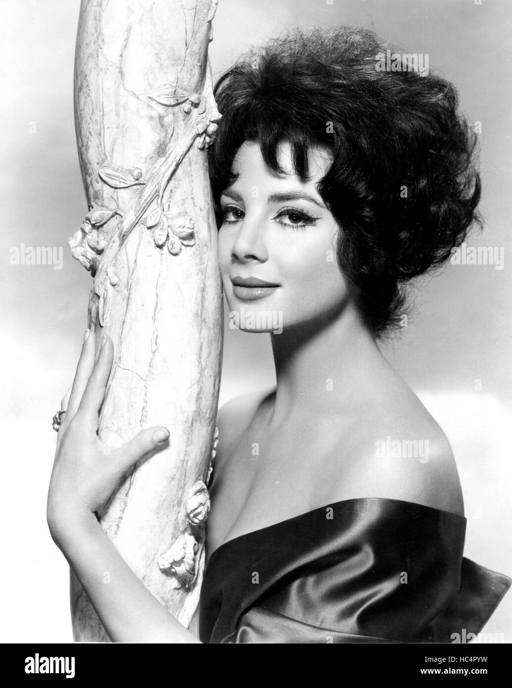 SAMAR, Ziva Rodann, 1962 Stock Photo - Alamy