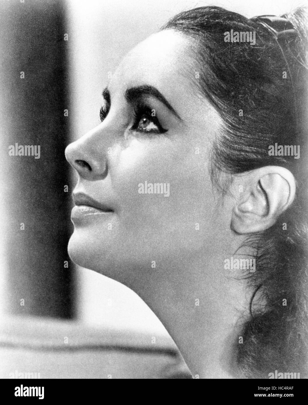 THE V.I.P S., Elizabeth Taylor, 1963 Stock Photo - Alamy