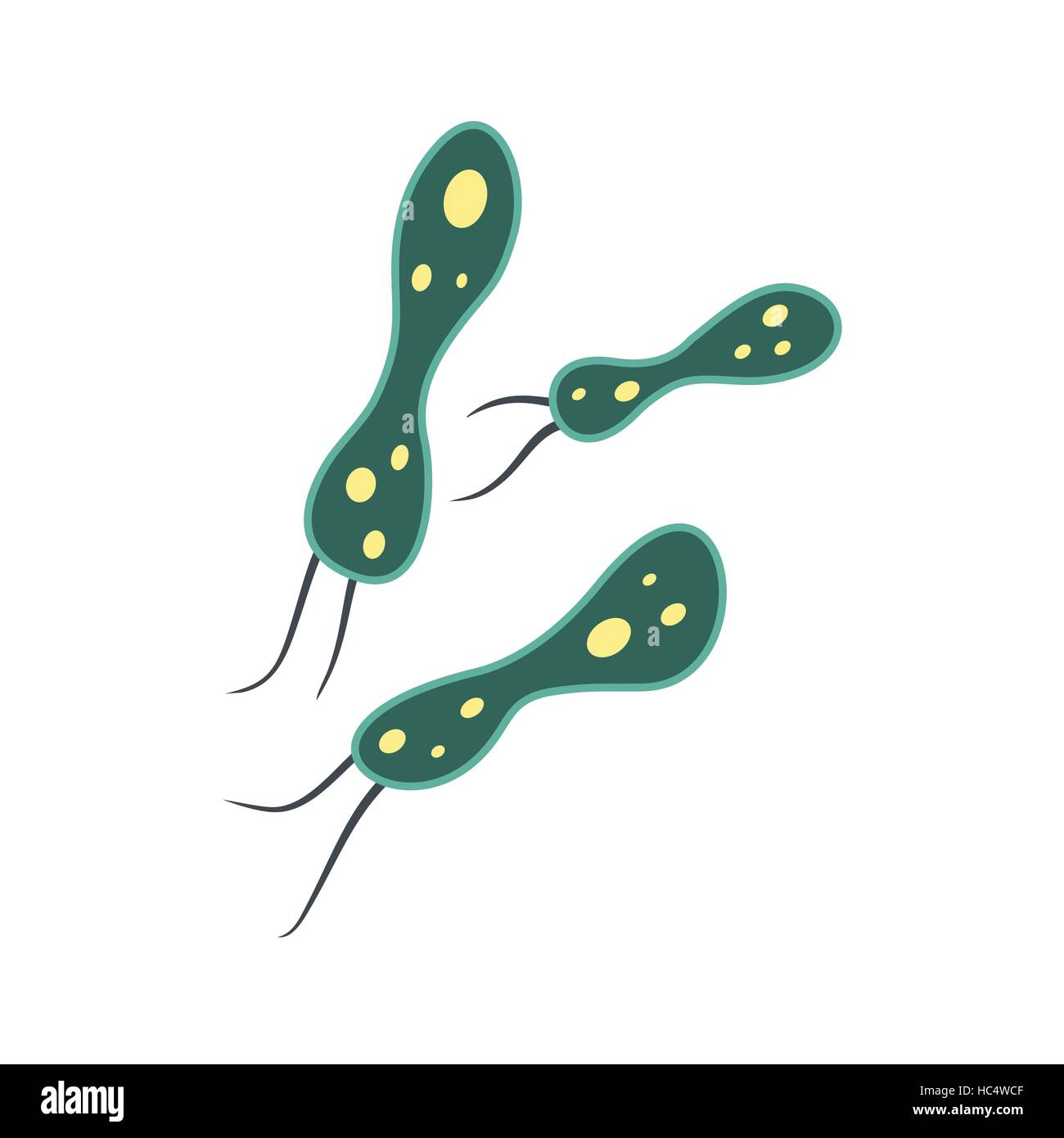 Rod-shaped virus flat icon Stock Vector Image & Art - Alamy