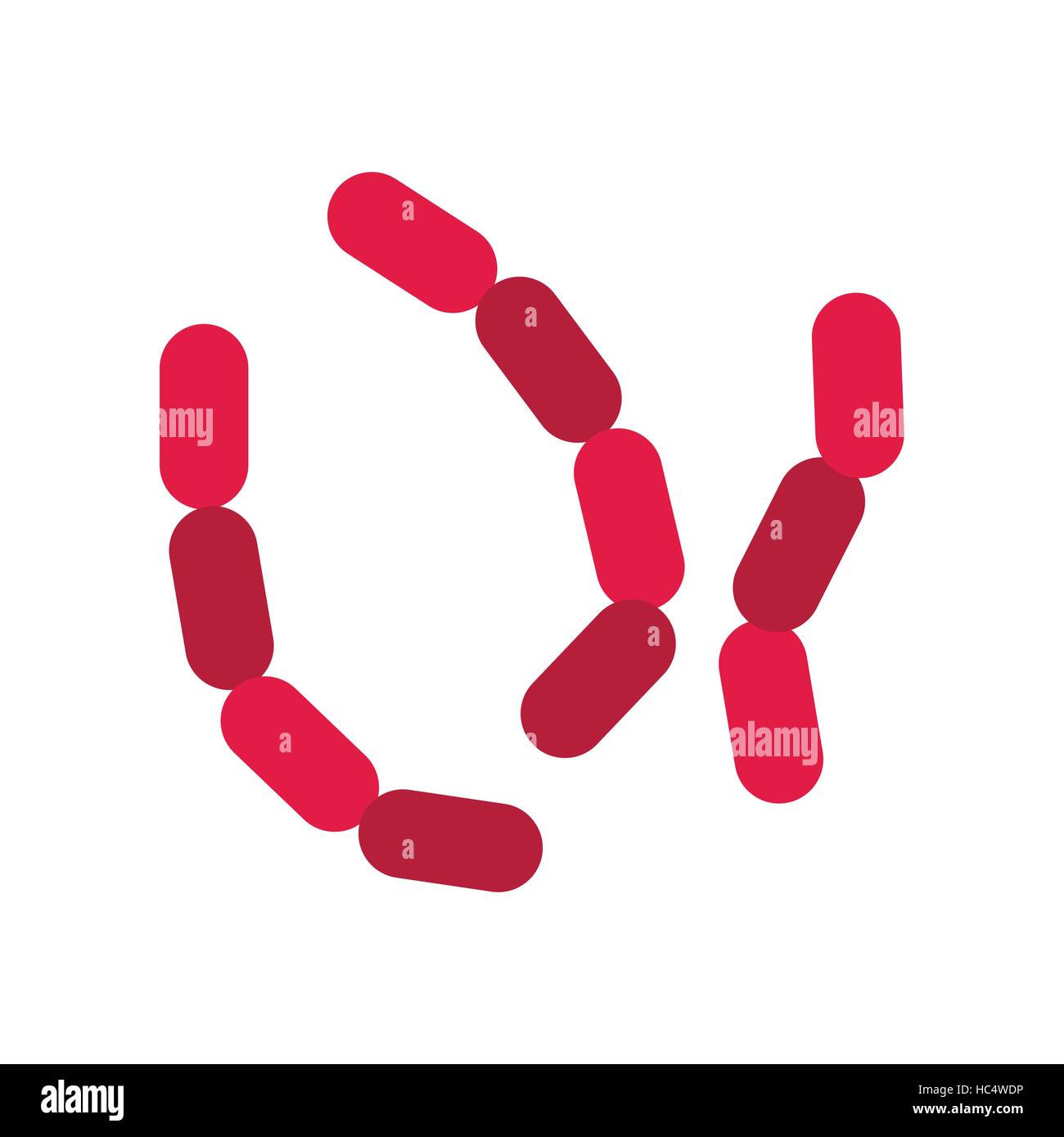 Rod shaped bacteria Cut Out Stock Images & Pictures - Alamy