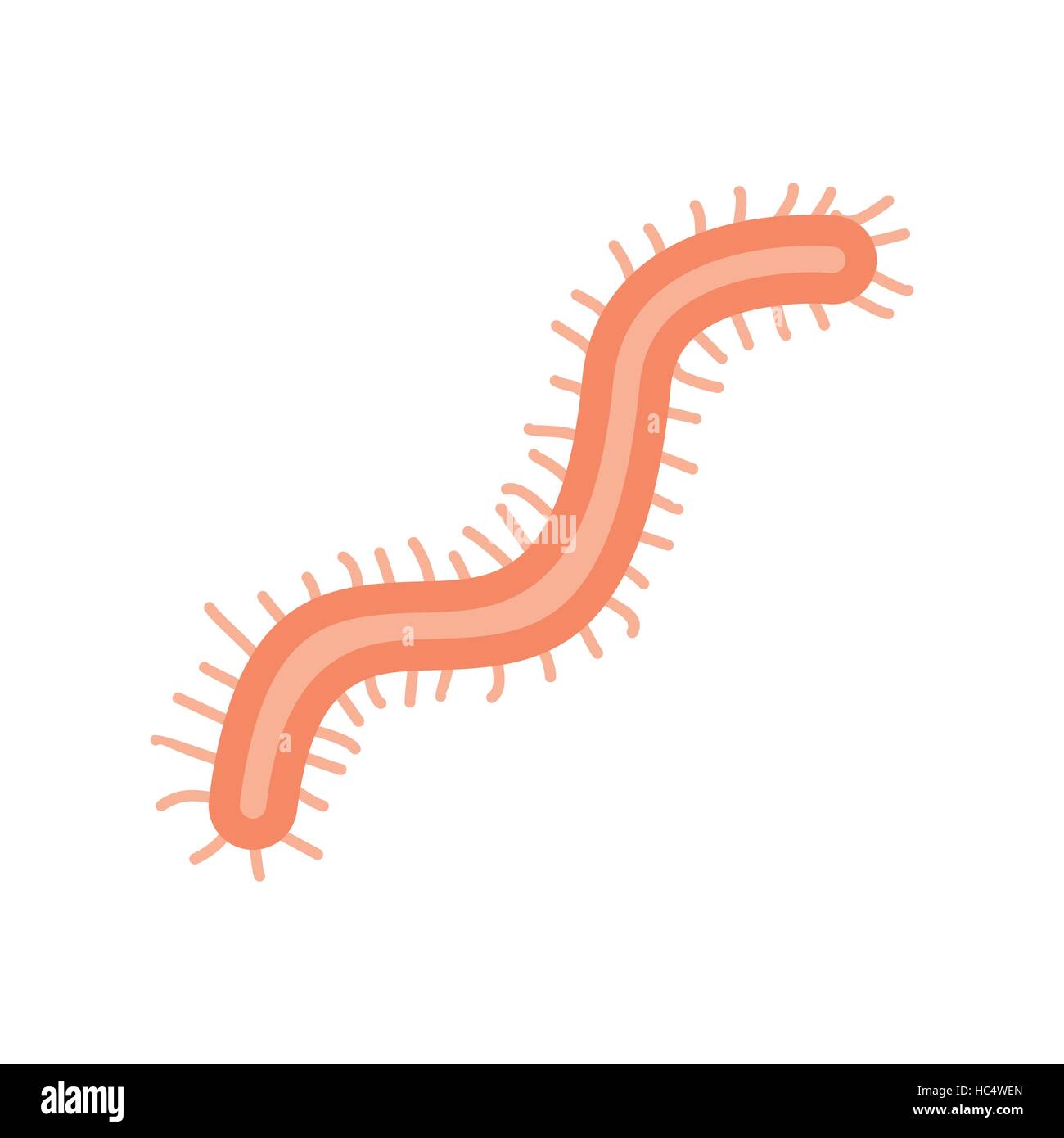Rod shaped virus Stock Vector Images - Alamy