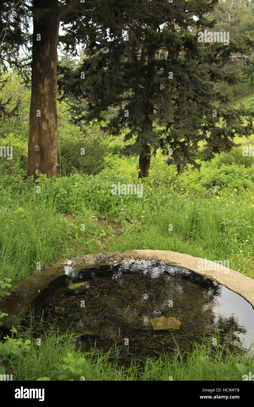 Roim hi-res stock photography and images - Alamy