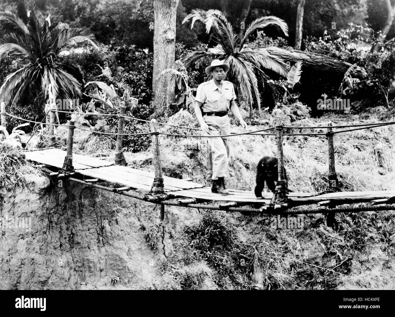 PYGMY ISLAND, Johnny Weissmuller, 1950 Stock Photo - Alamy