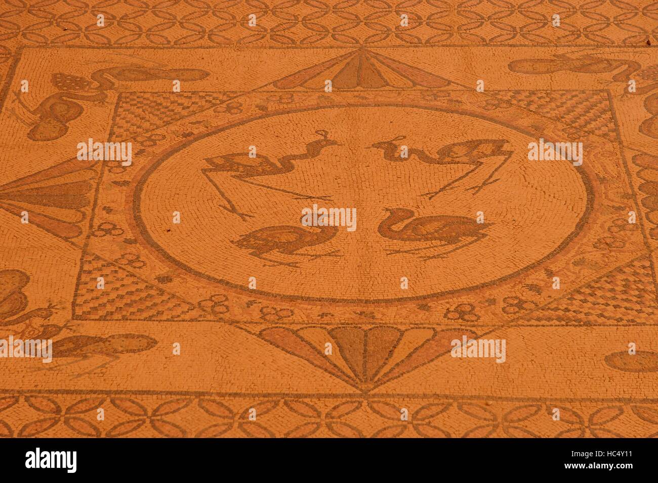 Israel, mosaic floor at the ancient Synagogue of Ein Gedi Stock Photo ...