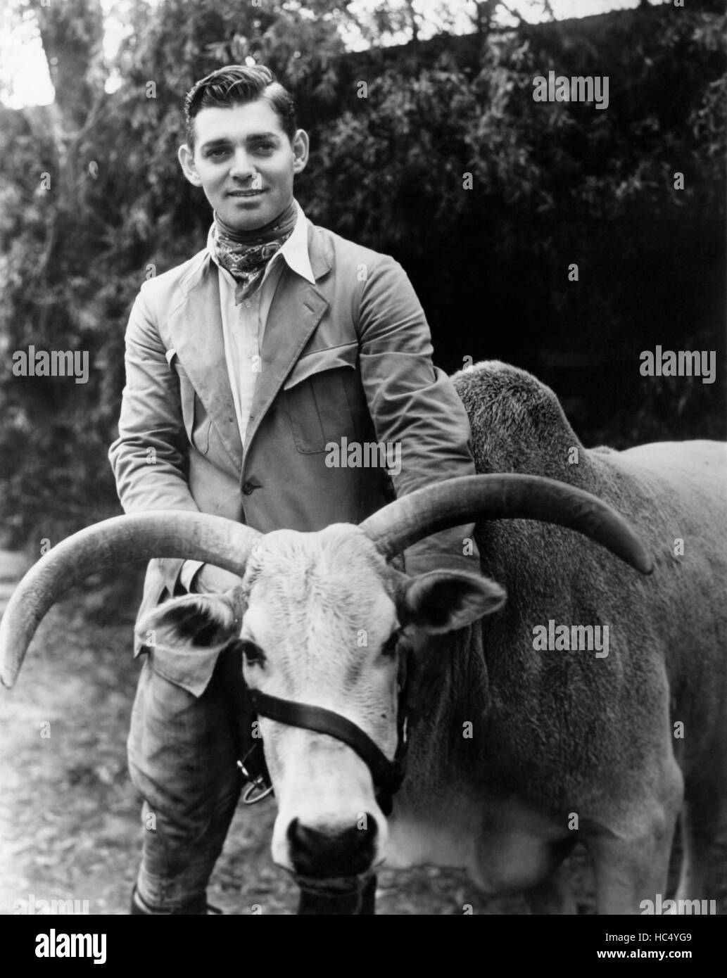 RED DUST, Clark Gable, on-set, 1932 Stock Photo - Alamy