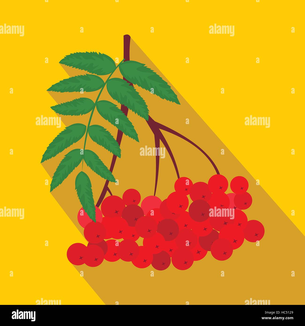 Rowan seeds Stock Vector Images - Alamy