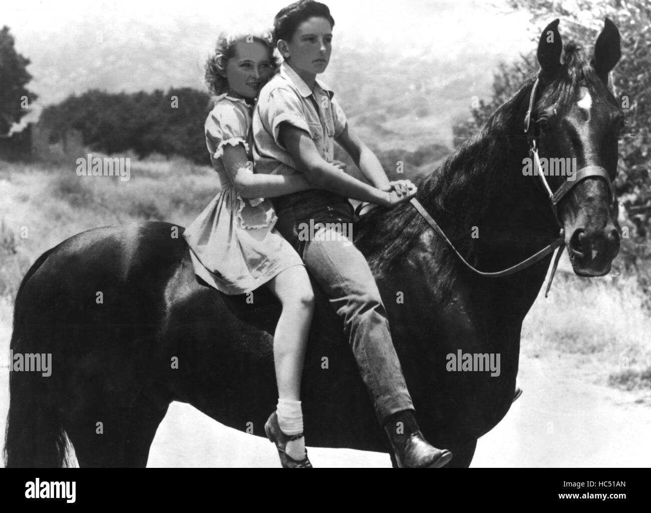 ROLLING HOME, Jo Ann Marlowe, Robert Buzz Henry, 1946 Stock Photo - Alamy