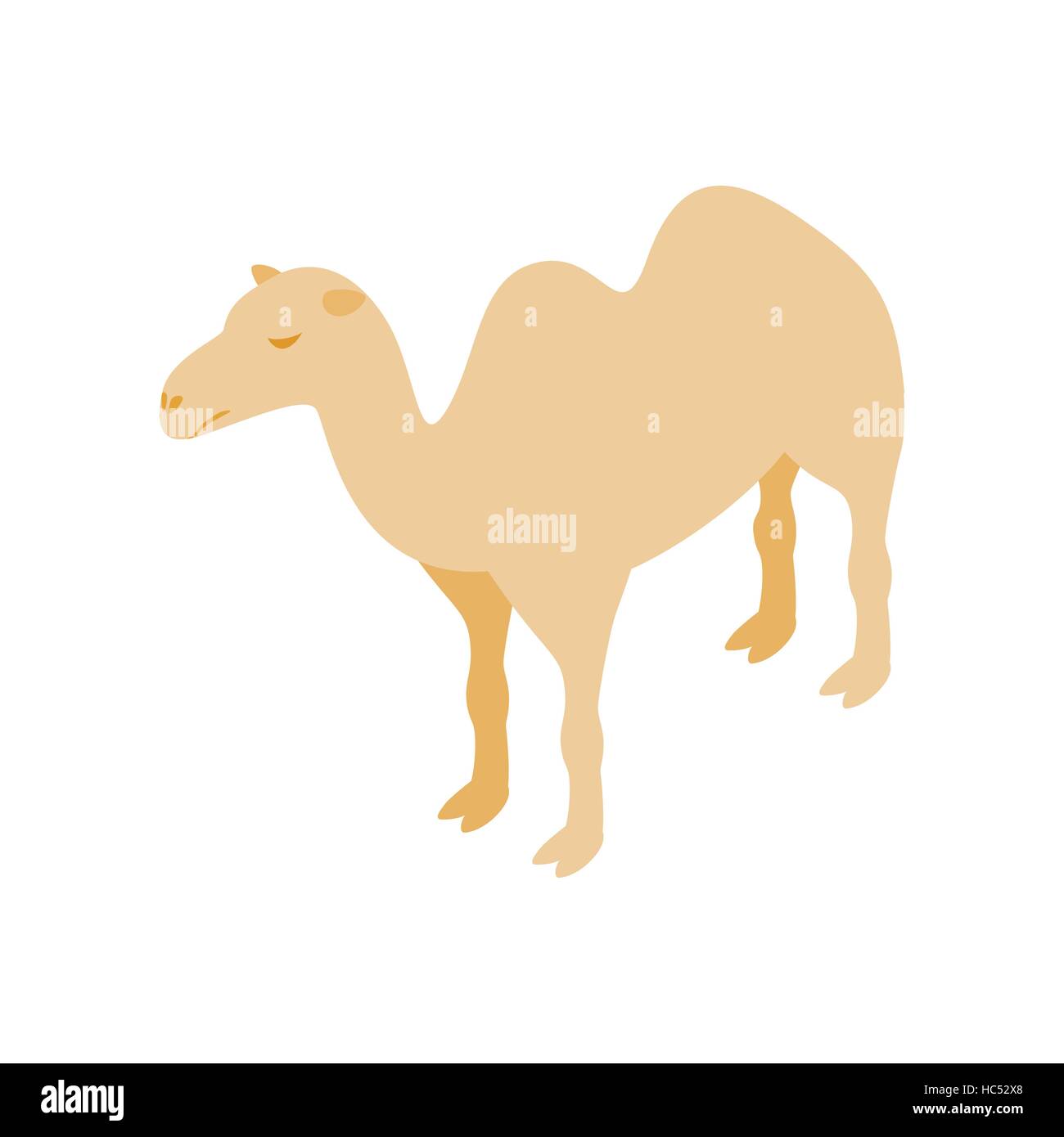 Camel icon, isometric 3d style Stock Vector Image & Art - Alamy