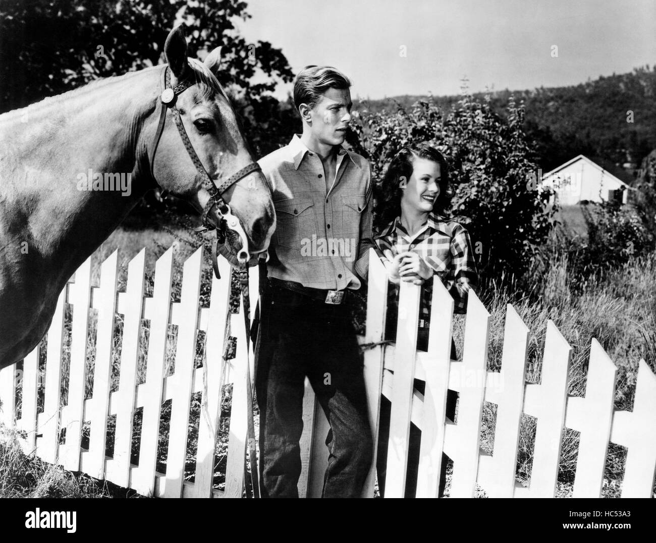 ROGUE RIVER, from left, Peter Graves, Jane Liddell, 1951 Stock Photo ...