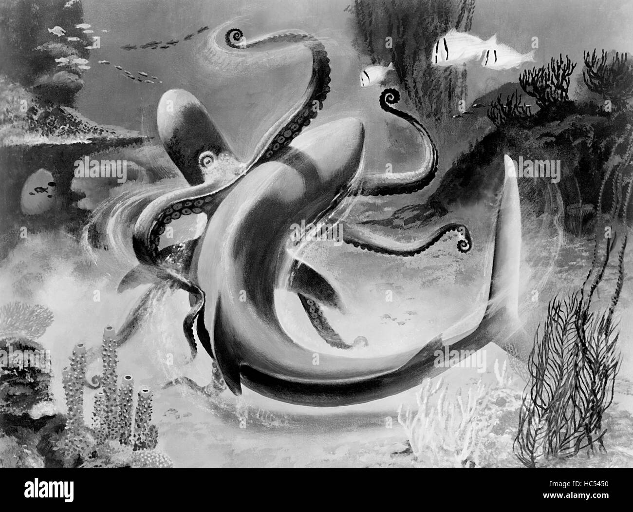 THE SEA AROUND US, underwater documentary, directed by Irwin Allen ...