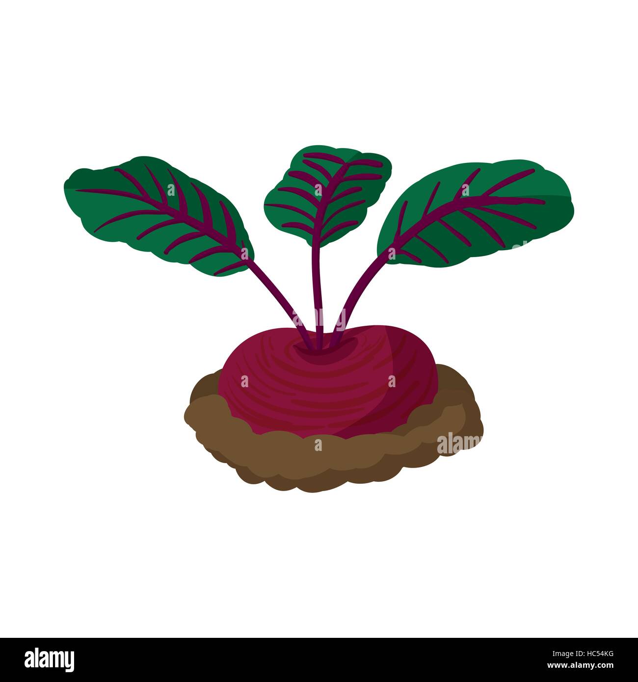 Red radishes cartoon icon Stock Vector Image & Art - Alamy